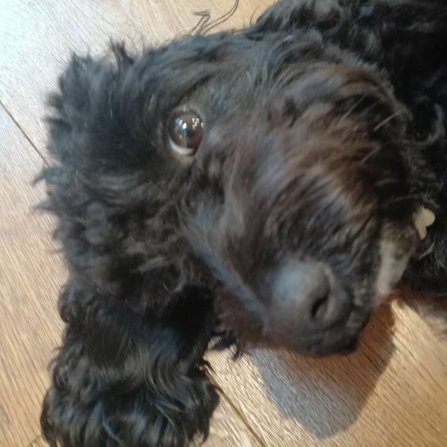 Stream Block Blaster Main Theme (Laid Back Remix) by fear | Listen ...