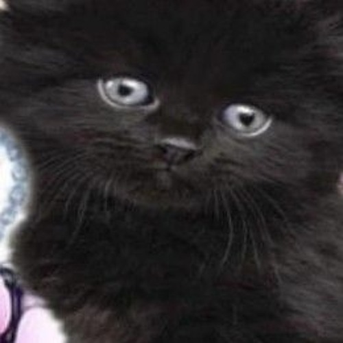 Stream 𝕞𝕖𝕝w music | Listen to songs, albums, playlists for free on ...