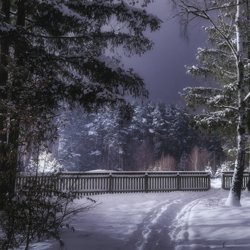 Stream Verbin music | Listen to songs, albums, playlists for free on ...