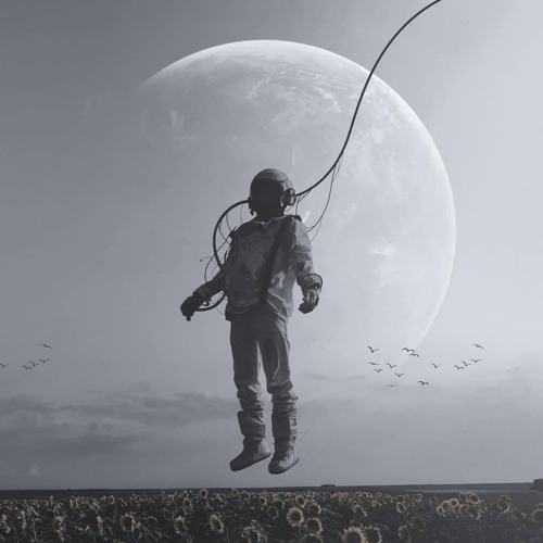 Stream Ecstacy music | Listen to songs, albums, playlists for free on ...