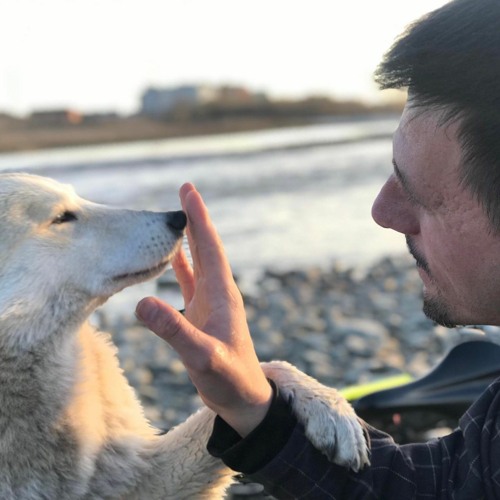 Stream Andriy Shustik music | Listen to songs, albums, playlists for ...