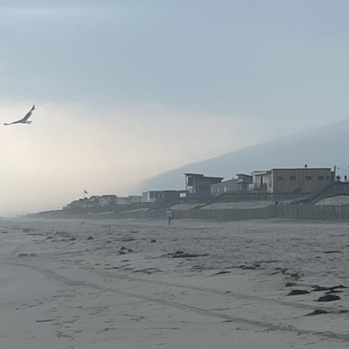 Stream cxcx music | Listen to songs, albums, playlists for free on ...