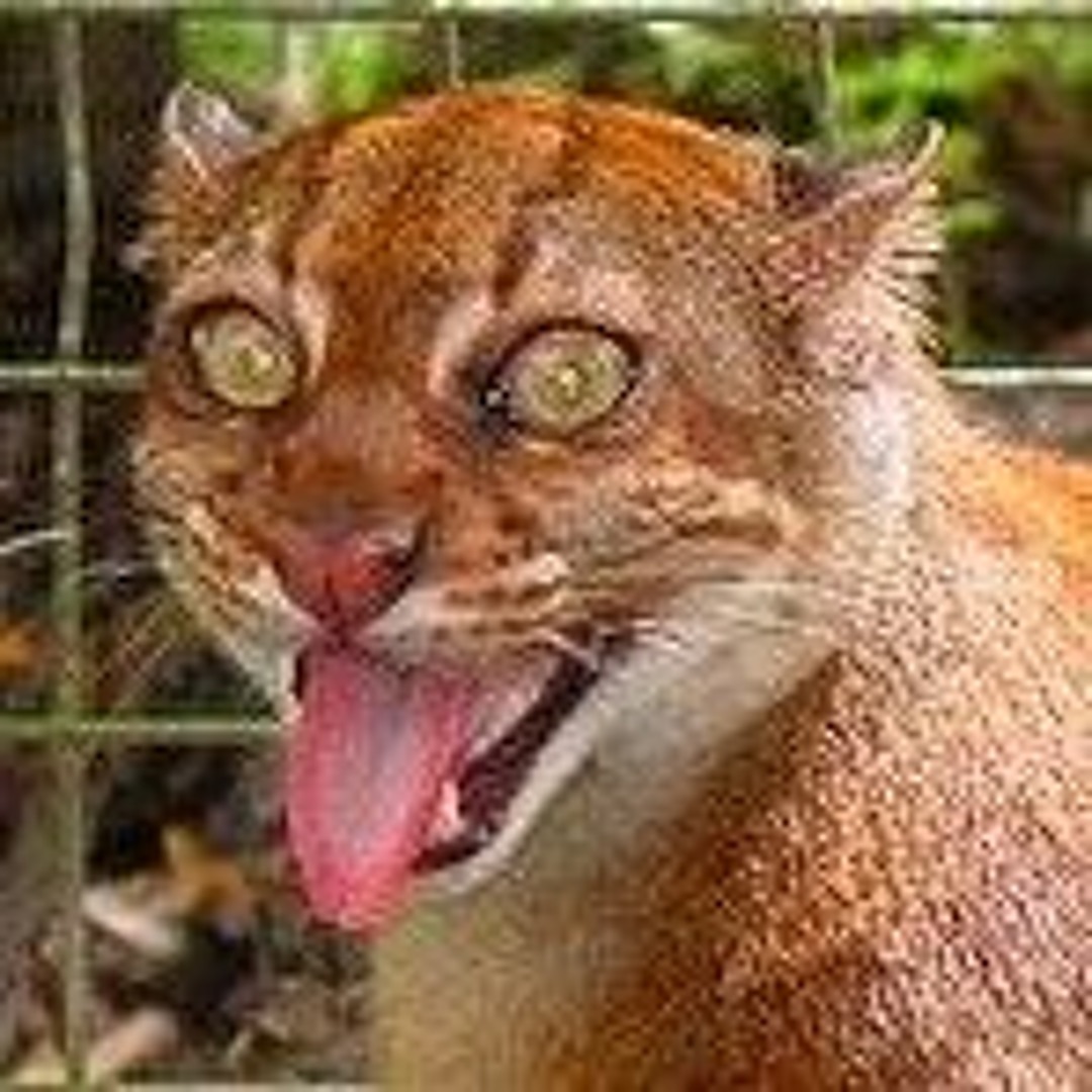 Stream CPR - Sinder (Cover) by Miia2k | Listen online for free on ...