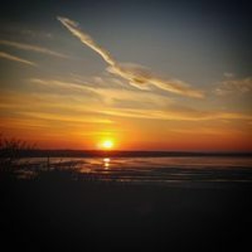 Stream Xavier Faucon music | Listen to songs, albums, playlists for ...