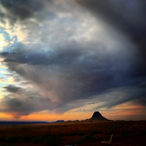 Stream Chillon Paddock music | Listen to songs, albums, playlists for ...