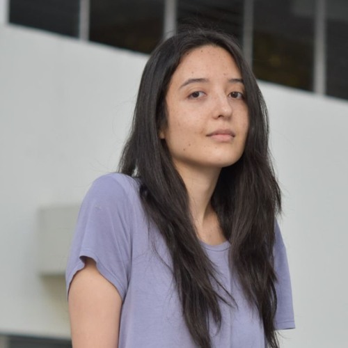 Stream Madeline Arlene González Soto | Listen to audiobooks and book ...