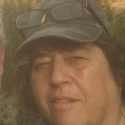 Stream Susan Engstrom McAuliffe music | Listen to songs, albums ...