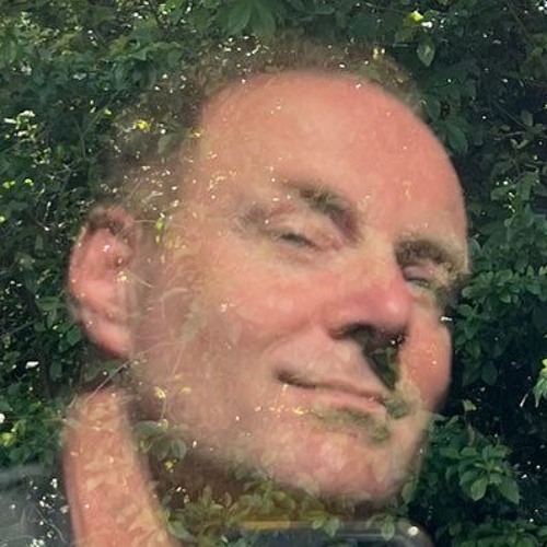 Stream Peter Breedveld music | Listen to songs, albums, playlists for ...