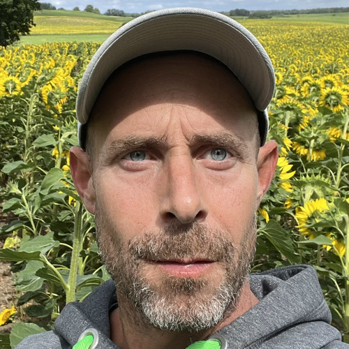 Stream nevertree music | Listen to songs, albums, playlists for free on ...