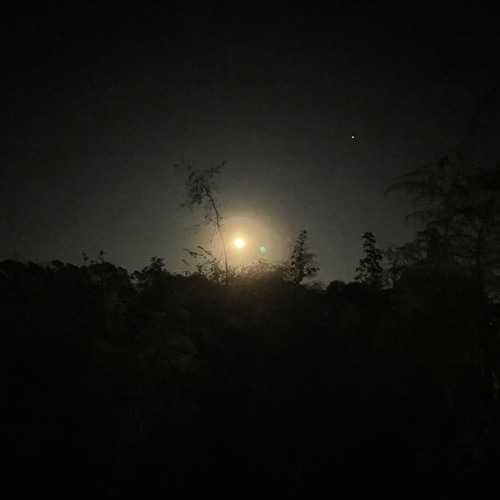 Stream Reid Holt music | Listen to songs, albums, playlists for free on ...