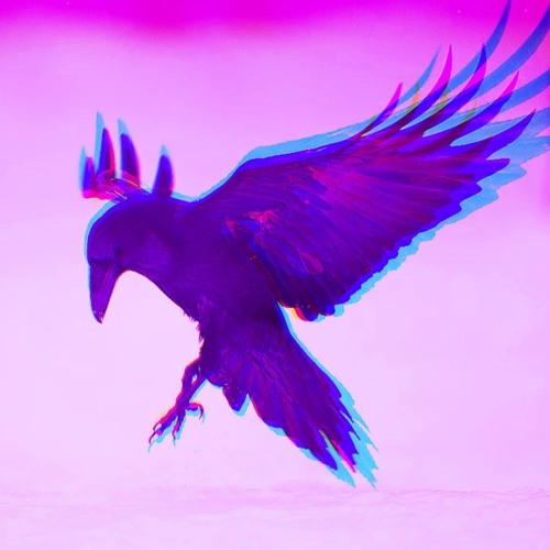 Stream The Violet Raven music | Listen to songs, albums, playlists for ...