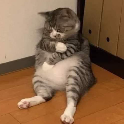 Stream Aída luz music | Listen to songs, albums, playlists for free on ...