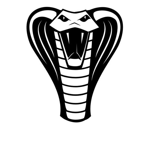 Stream Kobra team music | Listen to songs, albums, playlists for free ...