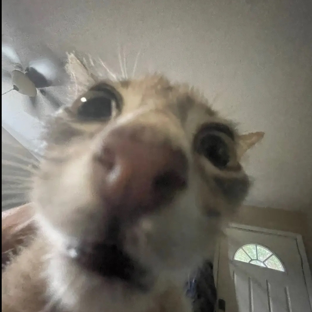 Stream tyuh music | Listen to songs, albums, playlists for free on ...