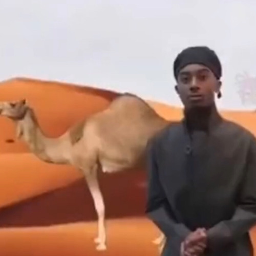 Stream Pxsible music | Listen to songs, albums, playlists for free on ...