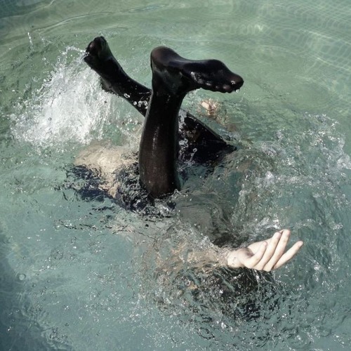 Stream akIMI music | Listen to songs, albums, playlists for free on ...