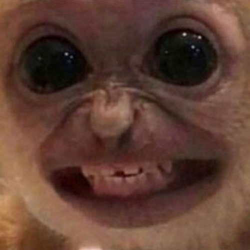 Stream Lil Litty Titty music | Listen to songs, albums, playlists for ...