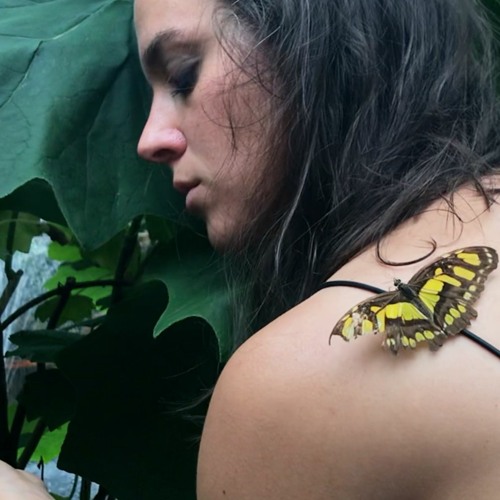 Stream Catherine Elsen music | Listen to songs, albums, playlists for ...