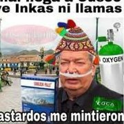 Stream Memes Cusco music | Listen to songs, albums, playlists for free ...