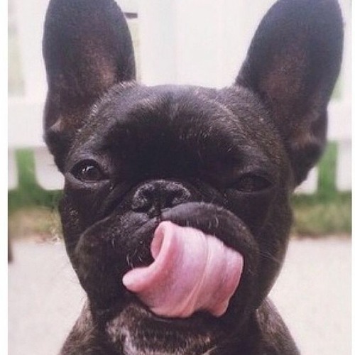 Stream Fakemink 2 music | Listen to songs, albums, playlists for free ...