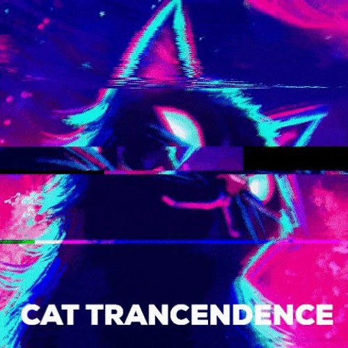 Stream Cat Transcendence music | Listen to songs, albums, playlists for ...