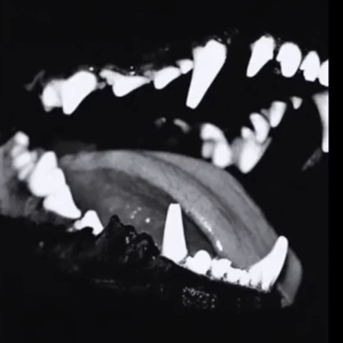 Stream HARSH BUT TRUE music | Listen to songs, albums, playlists for ...