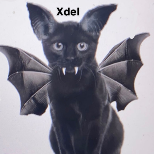 Stream Xdel music | Listen to songs, albums, playlists for free on ...