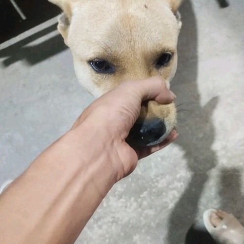 Stream Nguyen Vu Hung music | Listen to songs, albums, playlists for free on SoundCloud