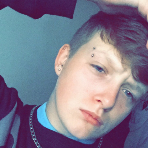 Stream Bree Brian Donohue music | Listen to songs, albums, playlists ...