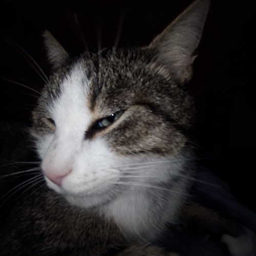 Stream Vesky music | Listen to songs, albums, playlists for free on ...