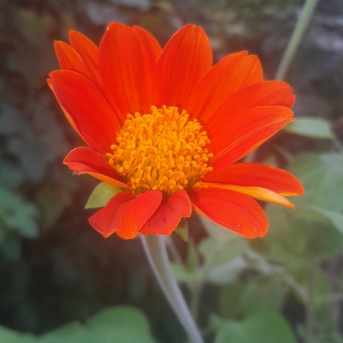 Stream Ye Lin Soe music | Listen to songs, albums, playlists for free on SoundCloud