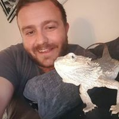 Stream Alan Gibb music | Listen to songs, albums, playlists for free on ...