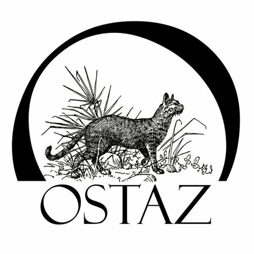 Stream Ostaz Berlin music | Listen to songs, albums, playlists for free ...