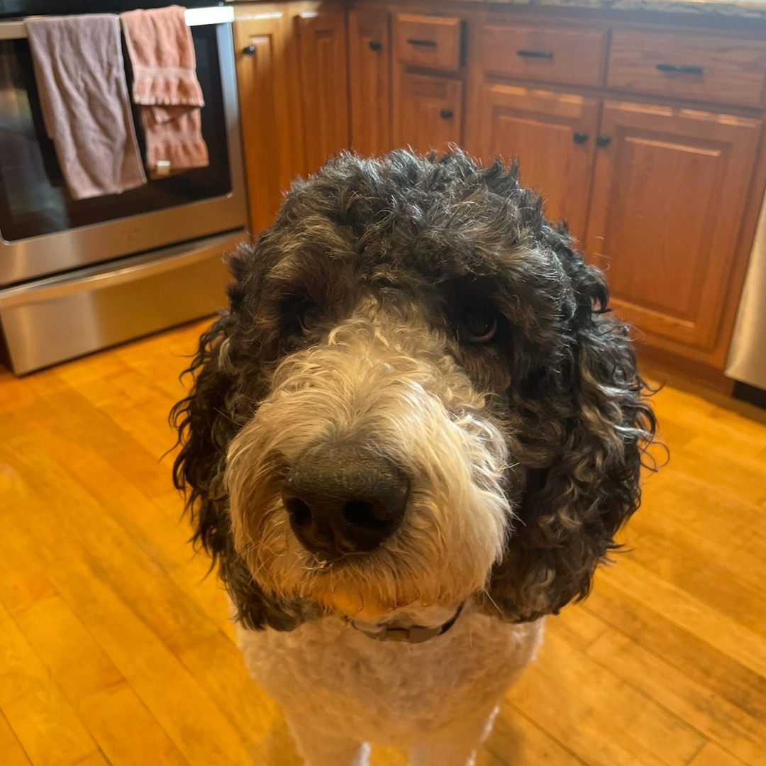 Stream Entropy music | Listen to songs, albums, playlists for free on ...