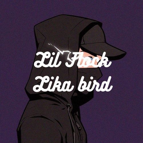 Stream 🕊Lil Flock🕊 music | Listen to songs, albums, playlists for free ...