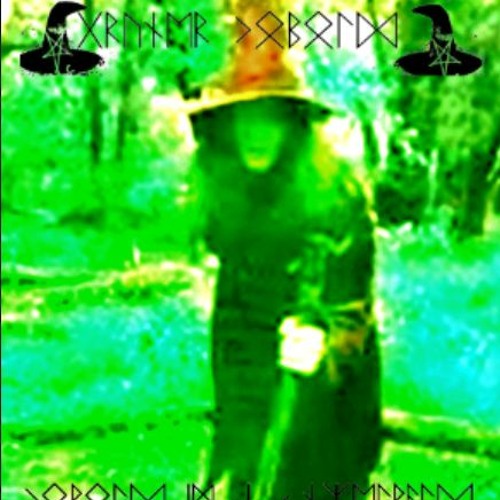 Stream Grüner Kobold music | Listen to songs, albums, playlists for ...