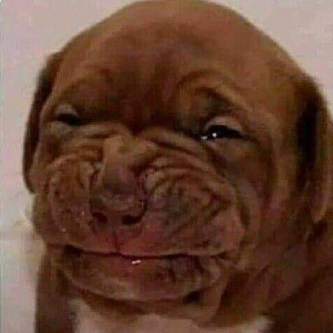 Stream INDIE CROSS - EPISODE 2 __ (ANIMATED SERIES)(MP3_160K) by Coffee ...