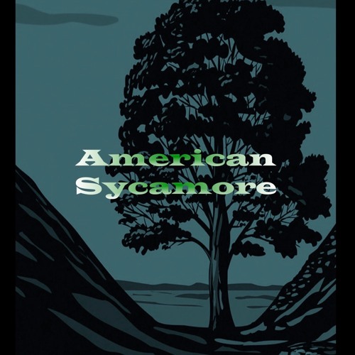 Stream American Sycamore music | Listen to songs, albums, playlists for ...
