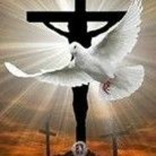 Stream hamin music | Listen to songs, albums, playlists for free on ...