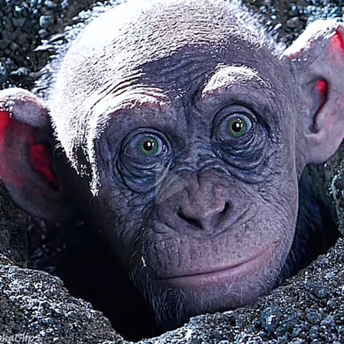 Stream Ghcj.16 music | Listen to songs, albums, playlists for free on ...