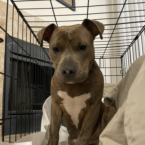 Stream Jacob music | Listen to songs, albums, playlists for free on ...