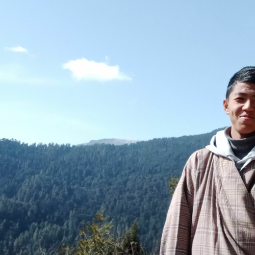 Stream Tashi Chogyal | Listen to play playlist online for free on ...