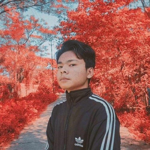 Stream Linus Chan music | Listen to songs, albums, playlists for free ...