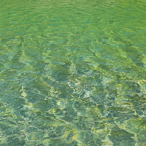 Stream Anei Ra Te Whanau (waiata) by Eenis Mageenis | Listen online for ...