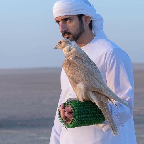 Stream Albreiki music | Listen to songs, albums, playlists for free on ...