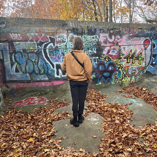 Stream Safko music | Listen to songs, albums, playlists for free on ...