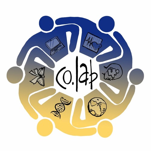 Stream Amy Gorzynski | Listen to co.lab Community Map 2023 playlist ...