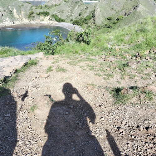 Stream TM PROJECT music | Listen to songs, albums, playlists for free ...