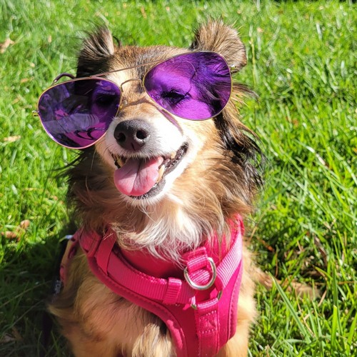 Stream Alyssa Poem by Jayne Bond | Listen online for free on SoundCloud