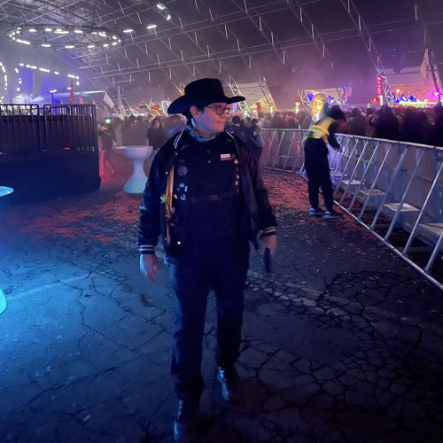 Stream Techno Cowboy music | Listen to songs, albums, playlists for ...